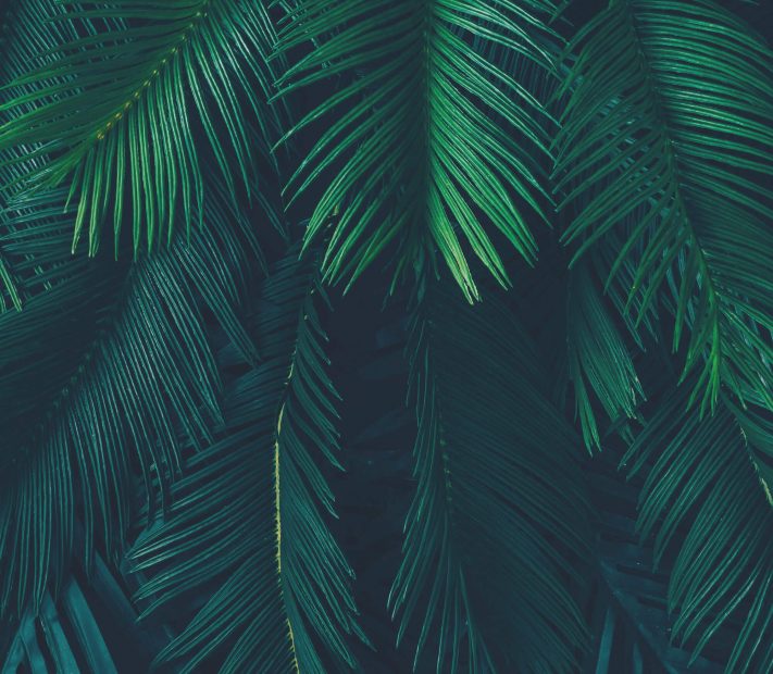 International Distillers (Mauritius) – Crafting Spirits since 1972